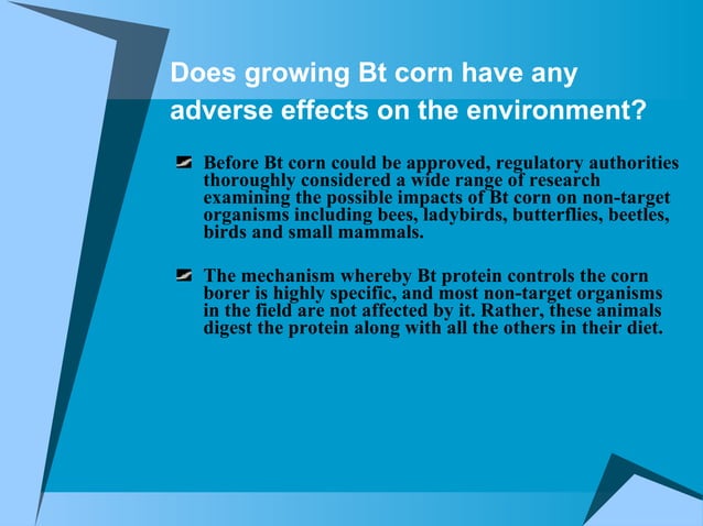Bt corn | PPT | Agriculture | Industries