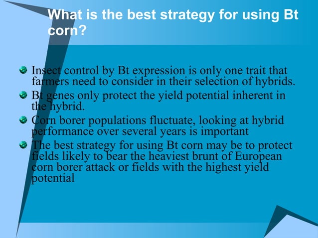 Bt corn | PPT | Agriculture | Industries