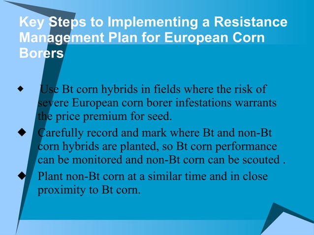Bt corn | PPT | Agriculture | Industries