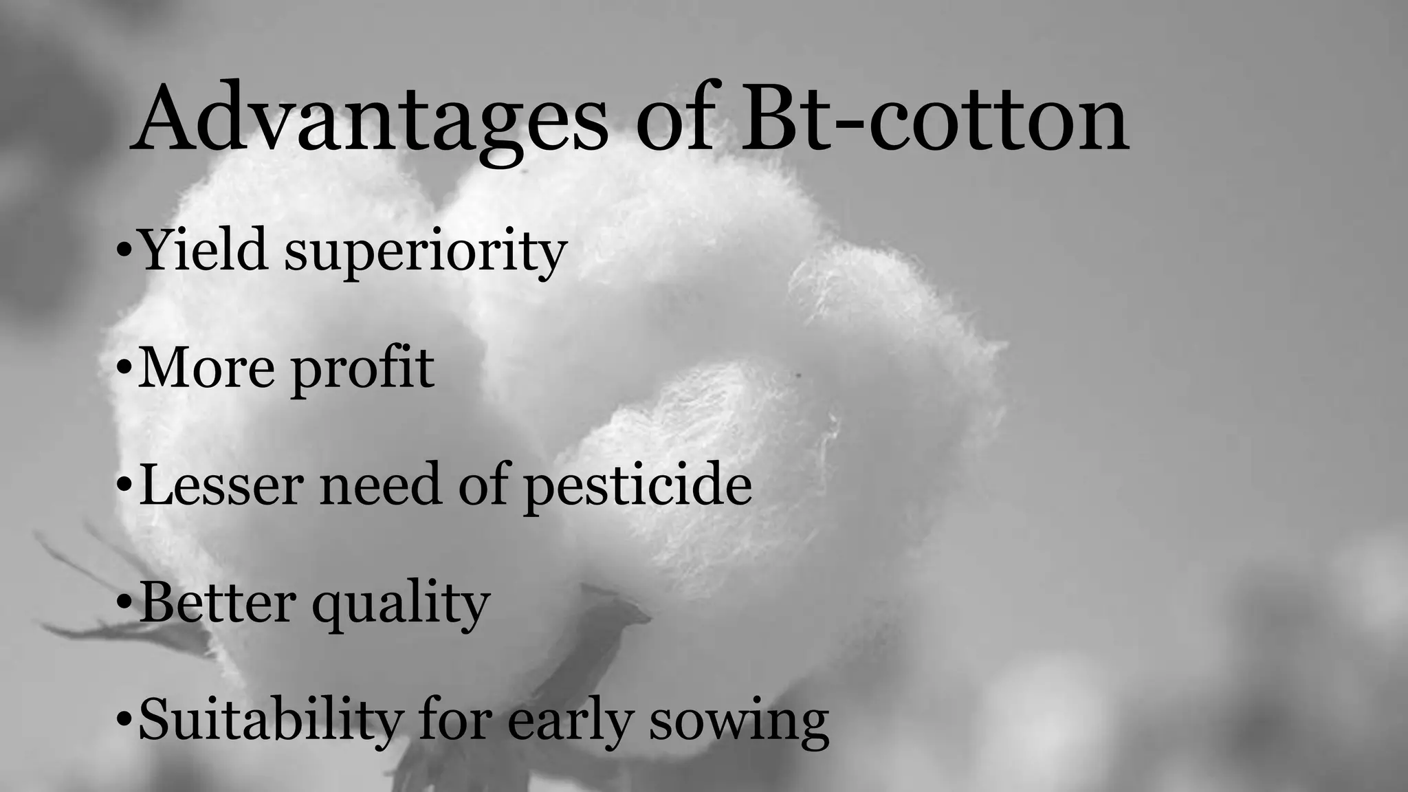 Bt cotton | PPTX