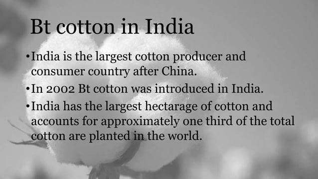 Bt cotton | PPT