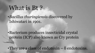 Bt cotton | PPTX