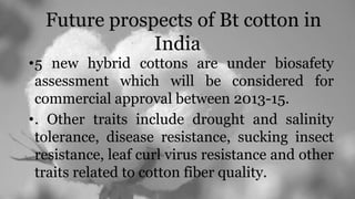 Bt cotton | PPT