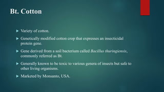 Bt cotton | PPTX