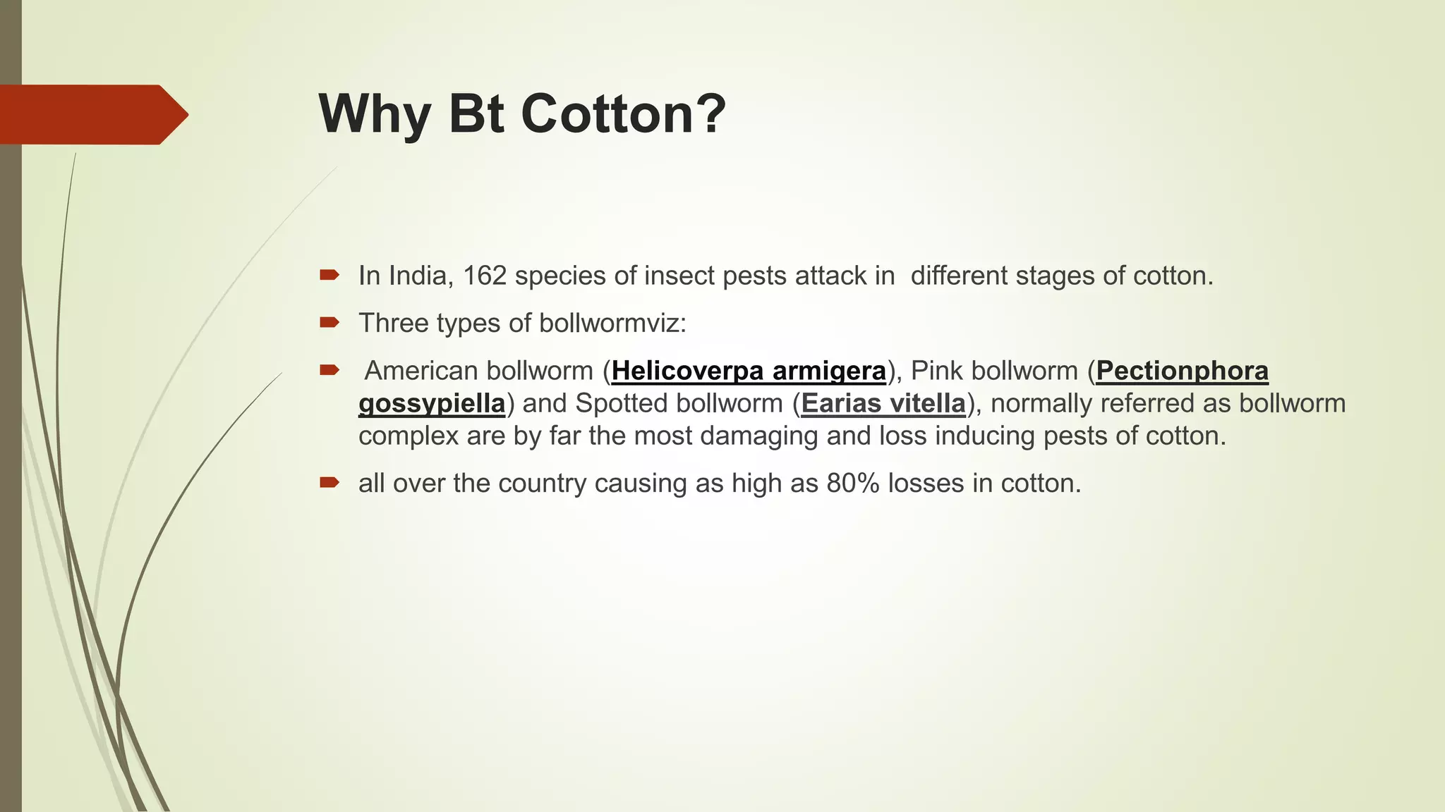 Bt cotton | PPTX