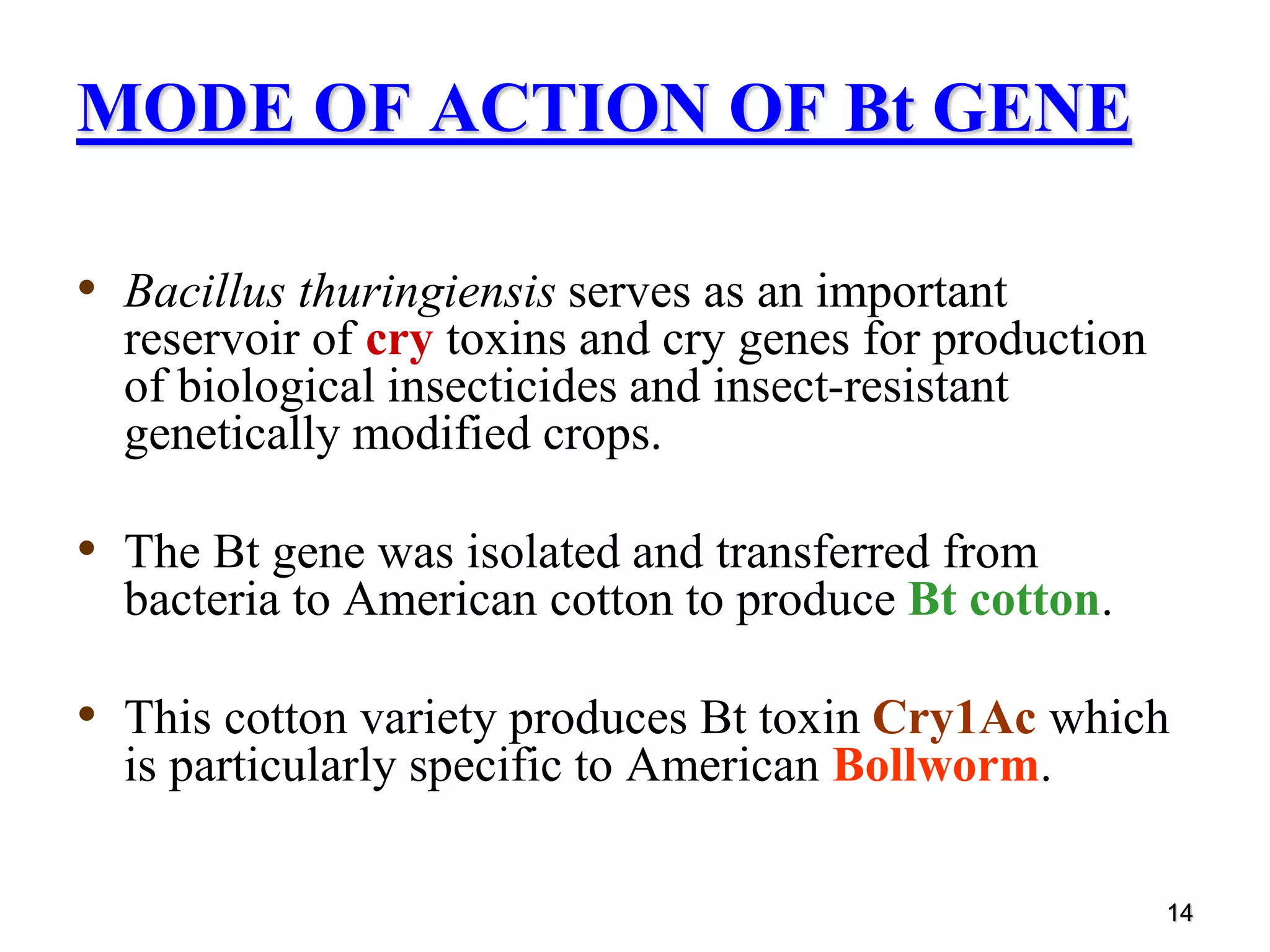 Bt cotton, insect resistant plant | PPT