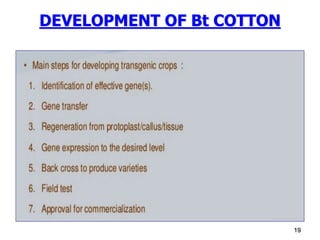 Bt cotton, insect resistant plant | PPT