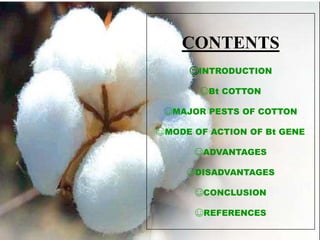 Bt cotton, insect resistant plant | PPT