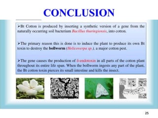 Bt cotton, insect resistant plant | PPT