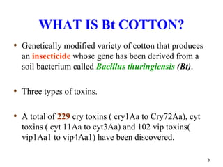 Bt cotton, insect resistant plant | PPT