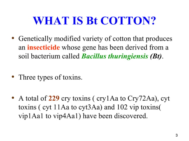 Bt cotton, insect resistant plant | PPT