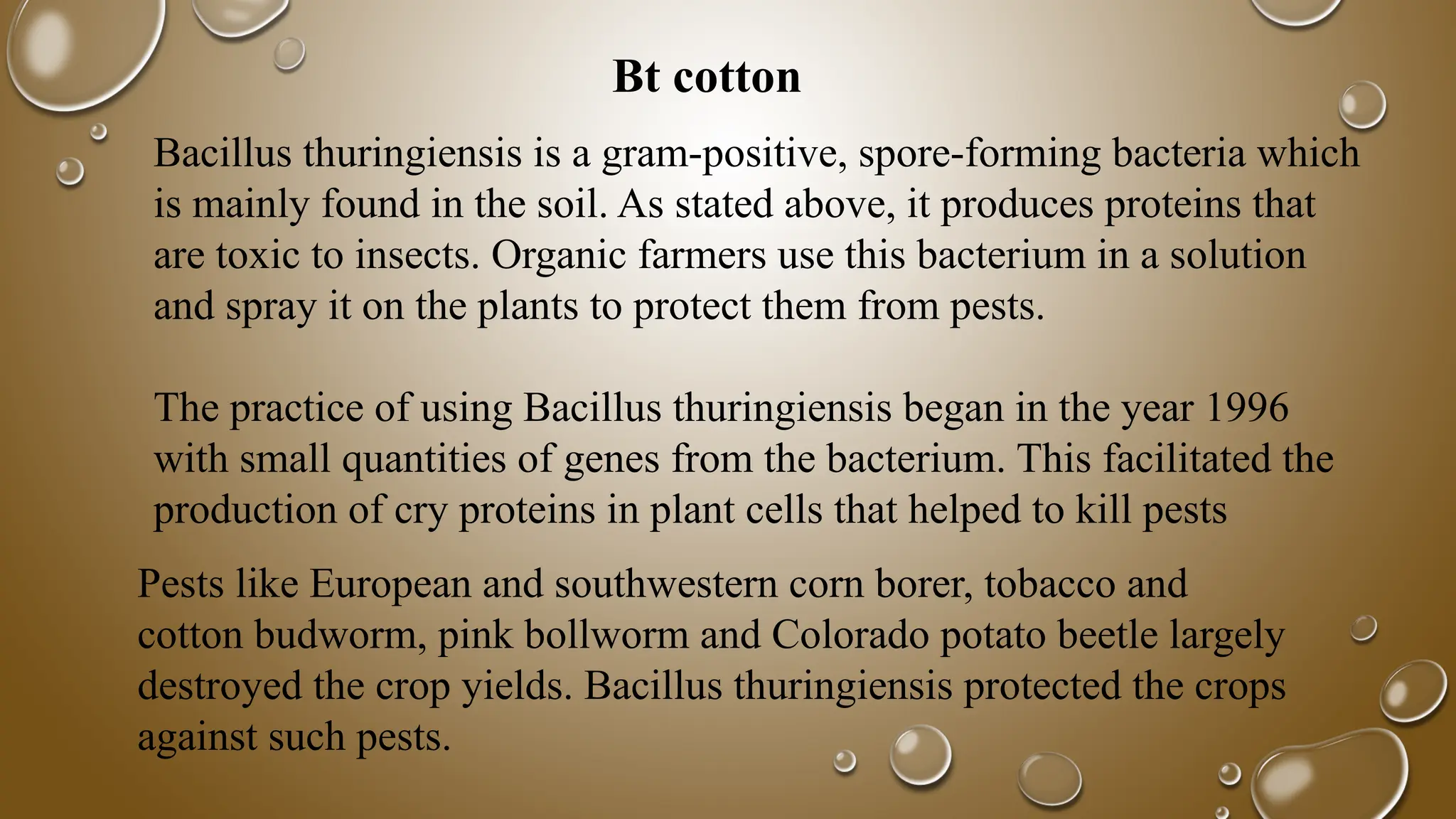 Bt cotton introduction production of bt. | PPTX