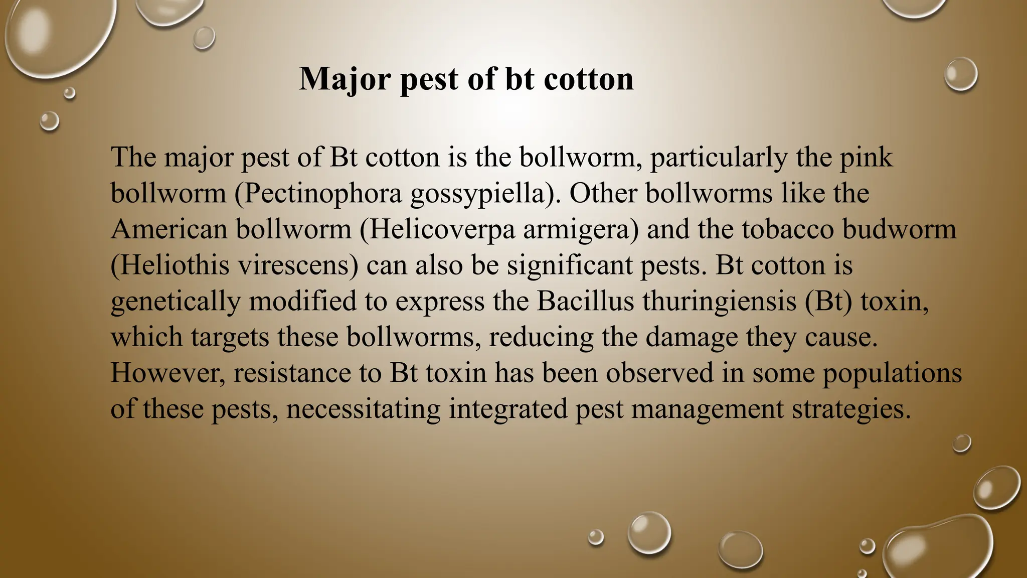 Bt cotton introduction production of bt. | PPTX