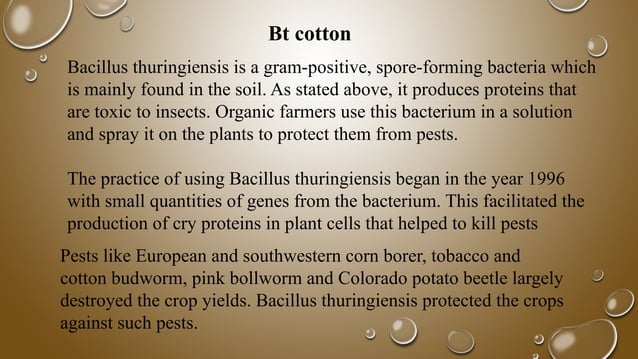 Bt cotton introduction production of bt. | PPT