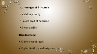 Bt cotton introduction production of bt. | PPT