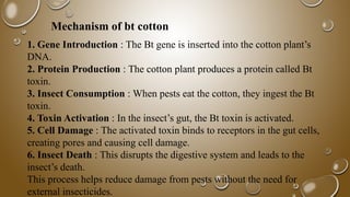 Bt cotton introduction production of bt. | PPTX