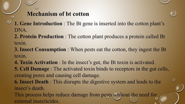 Bt cotton introduction production of bt. | PPT