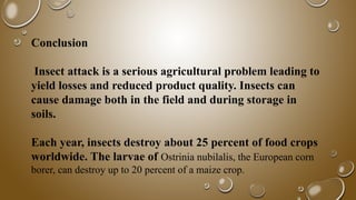 Bt cotton introduction production of bt. | PPTX
