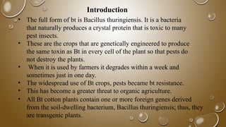 Bt cotton introduction production of bt. | PPT