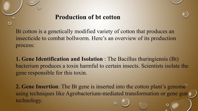 Bt cotton introduction production of bt. | PPT