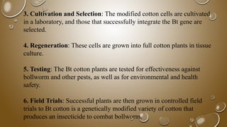 Bt cotton introduction production of bt. | PPTX