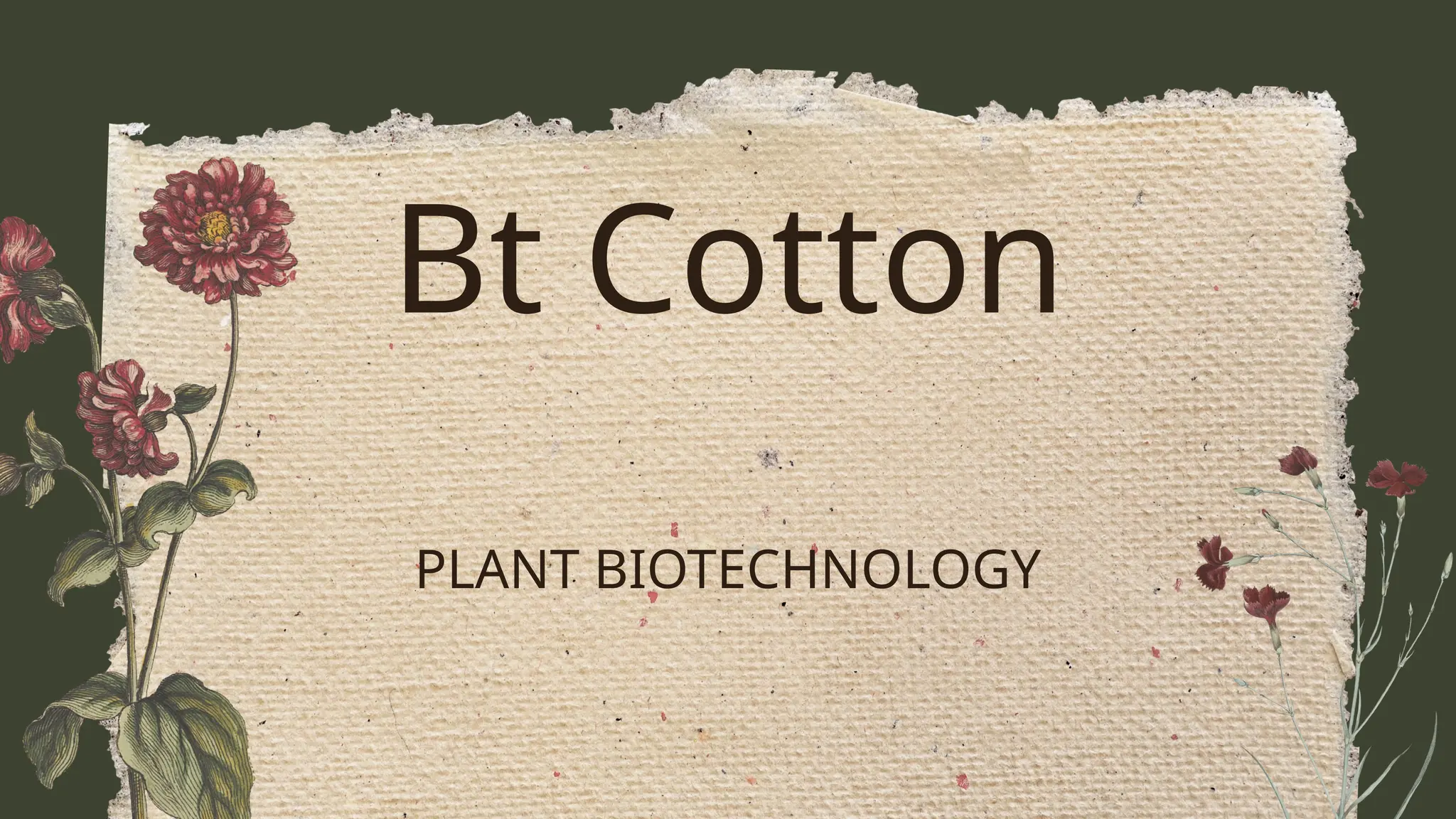 Bt Cotton / advantages/ disadvantages/gene construct/mechanism.pptx