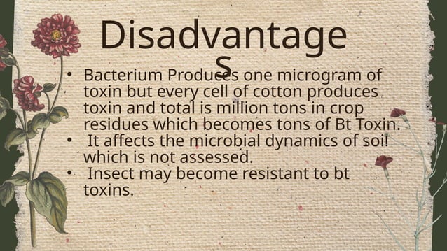 Bt Cotton / advantages/ disadvantages/gene construct/mechanism.pptx