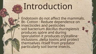 Bt Cotton / advantages/ disadvantages/gene construct/mechanism.pptx