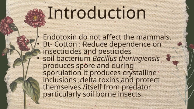 Bt Cotton / advantages/ disadvantages/gene construct/mechanism.pptx