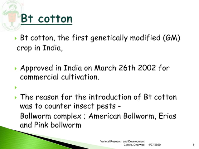 Bt cotton in india and regulatory regime | PPTX | Agriculture | Industries