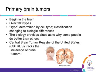 BTEBrainTumor101.pptx | Cancer | Diseases and Conditions
