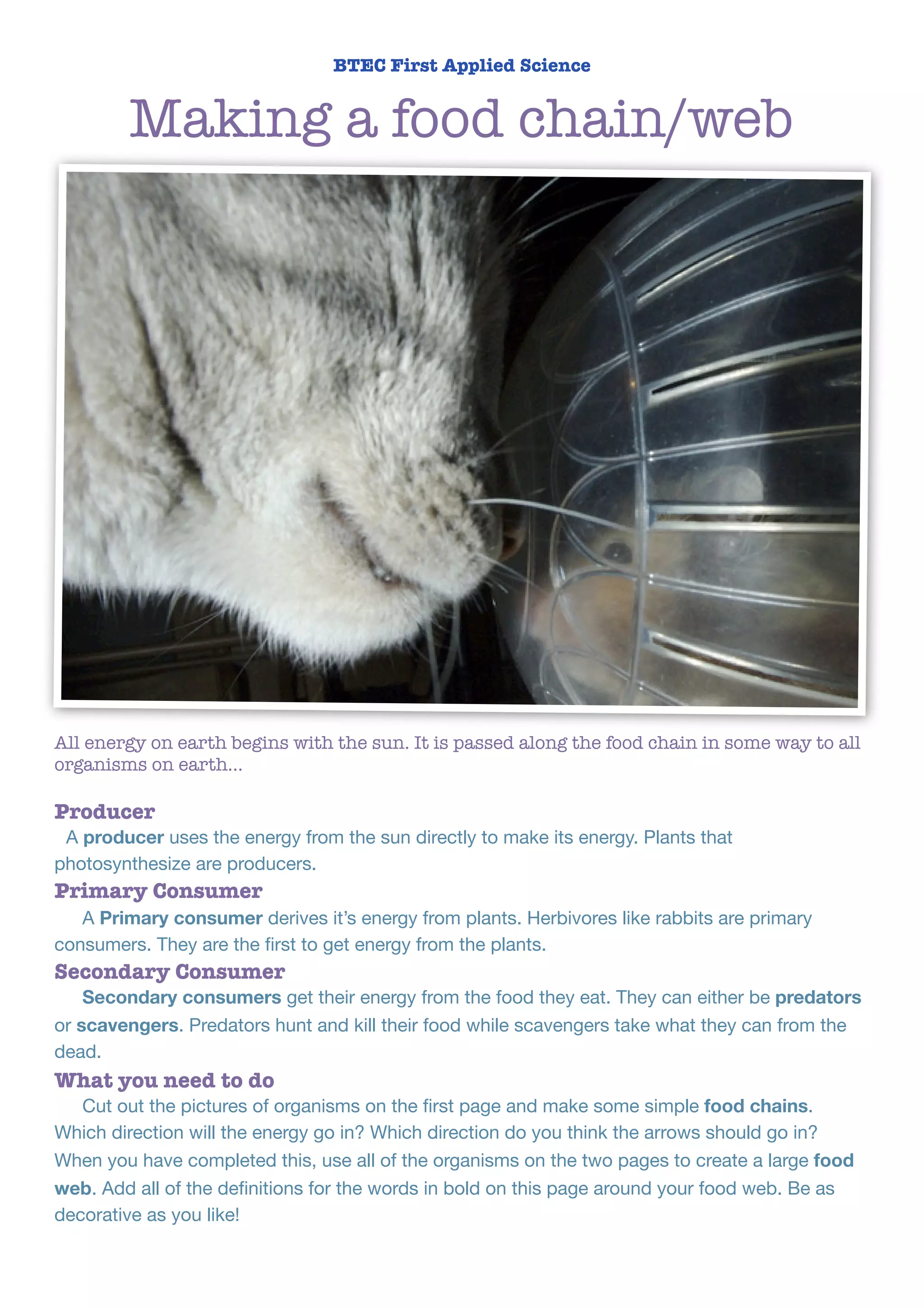 Btec First Food Chains And Webs | PDF