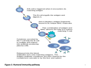 BTEC849 Lecture slides.ppt