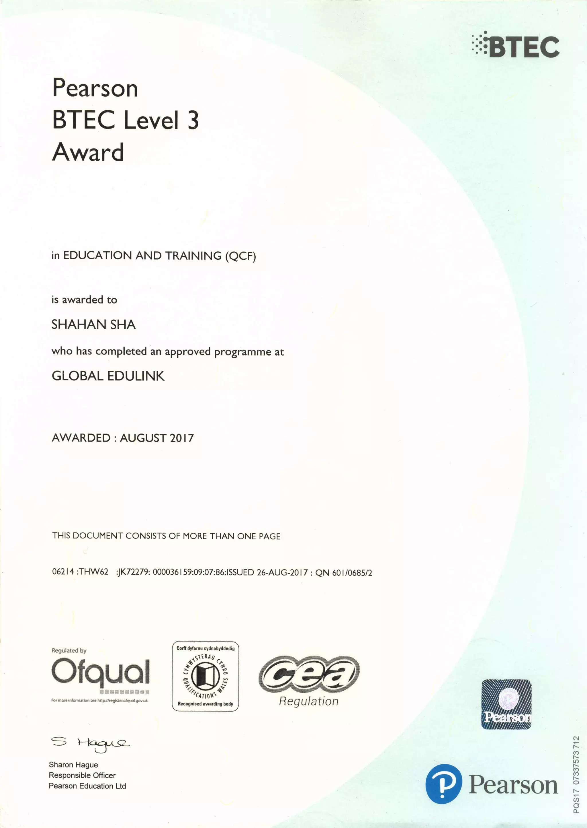 BTEC Award Education & Training Level 3 | PDF