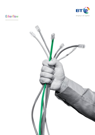 Bt Etherflow | PDF | Computer Networking | Computing