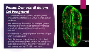 Slide Sains Tingkatan 3 Bab 2_Respirasi.pptx