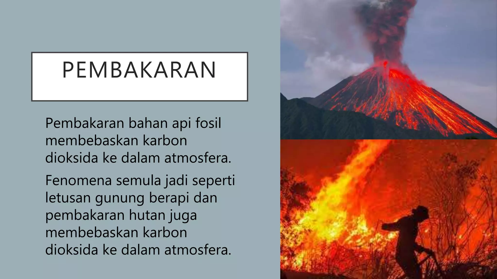 BT F5 BAB 5 sains.pptx