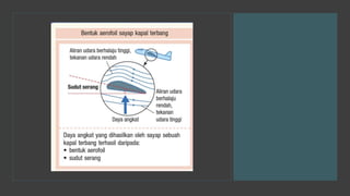 BT F5 BAB 8 zila khalid =).pptx