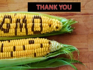 Plant Incorporated Protectants(PIPs) | PPTX