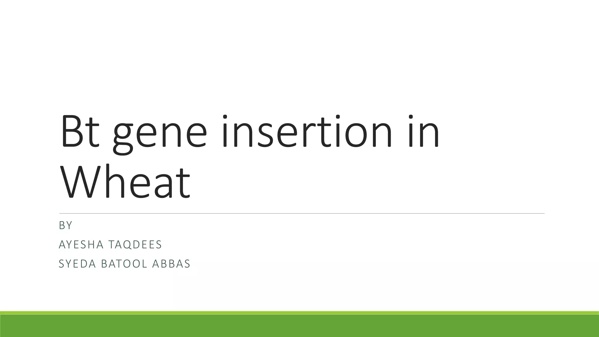 Bt gene insertion in wheat | PPTX | Gardening | Home & Garden
