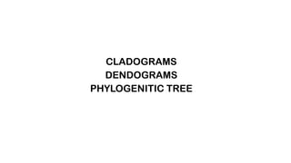BTH 1.3 Unit 1 Cladograms Dendograms & phylogenetic tree.pdf