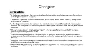 BTH 1.3 Unit 1 Cladograms Dendograms & phylogenetic tree.pdf
