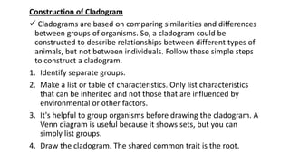 BTH 1.3 Unit 1 Cladograms Dendograms & phylogenetic tree.pdf