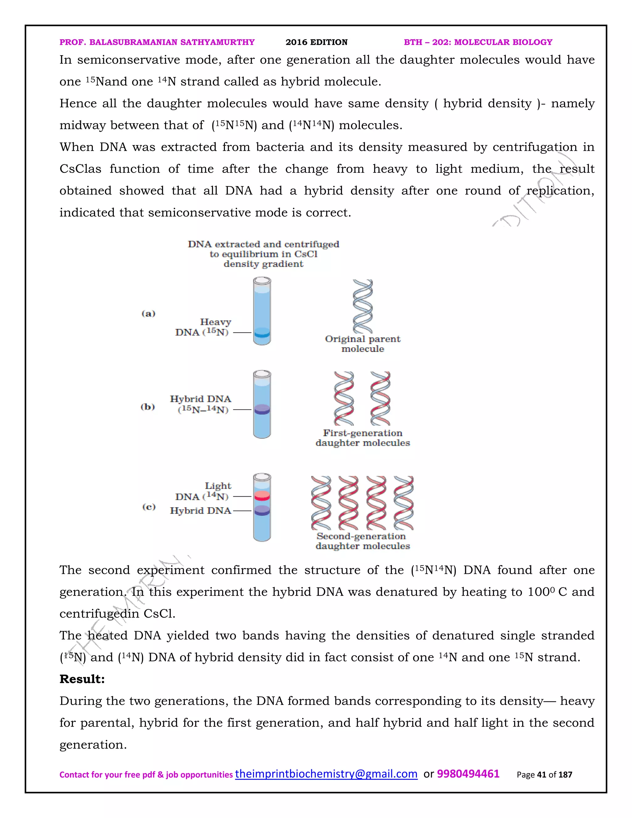 Bth 202 molecular biology | PDF