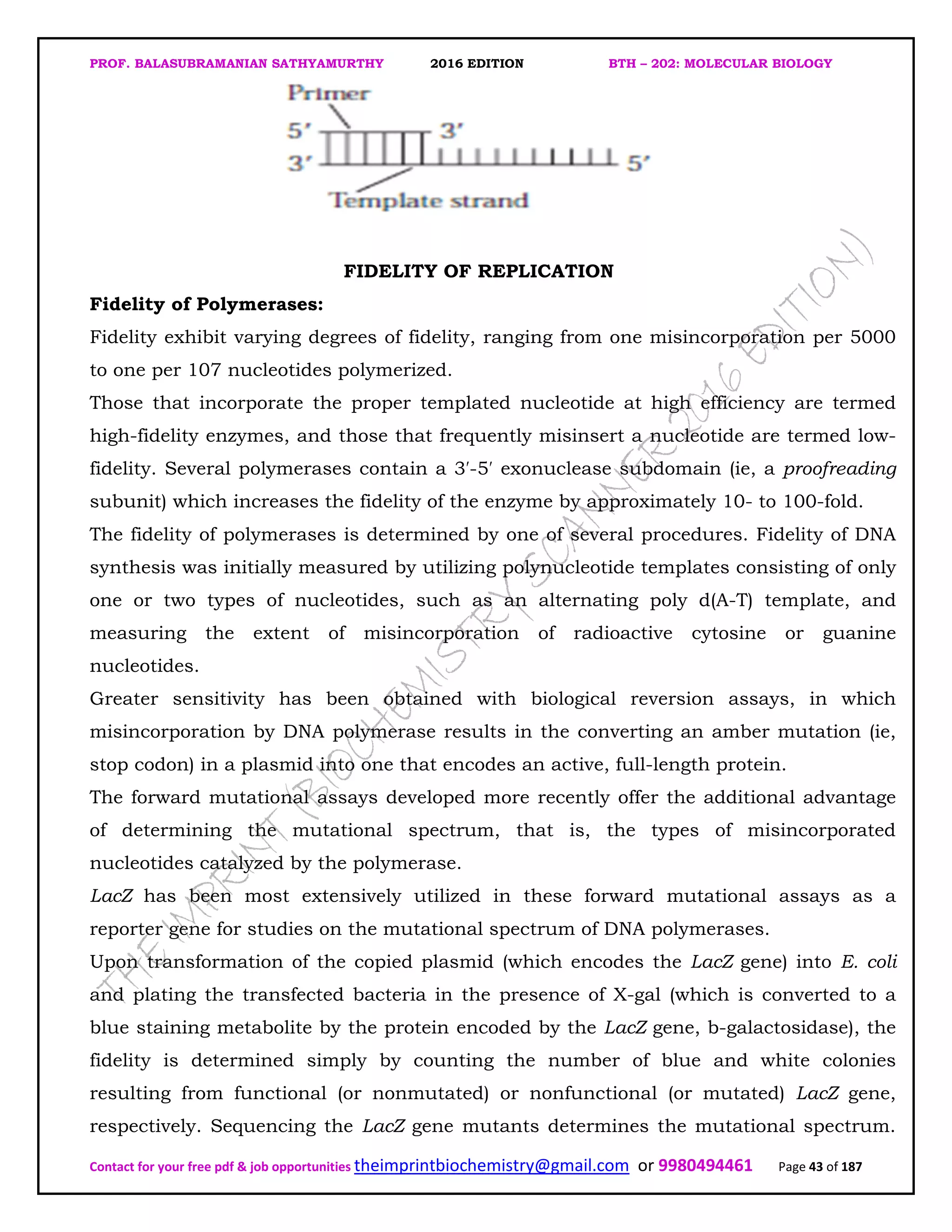 Bth 202 molecular biology | PDF