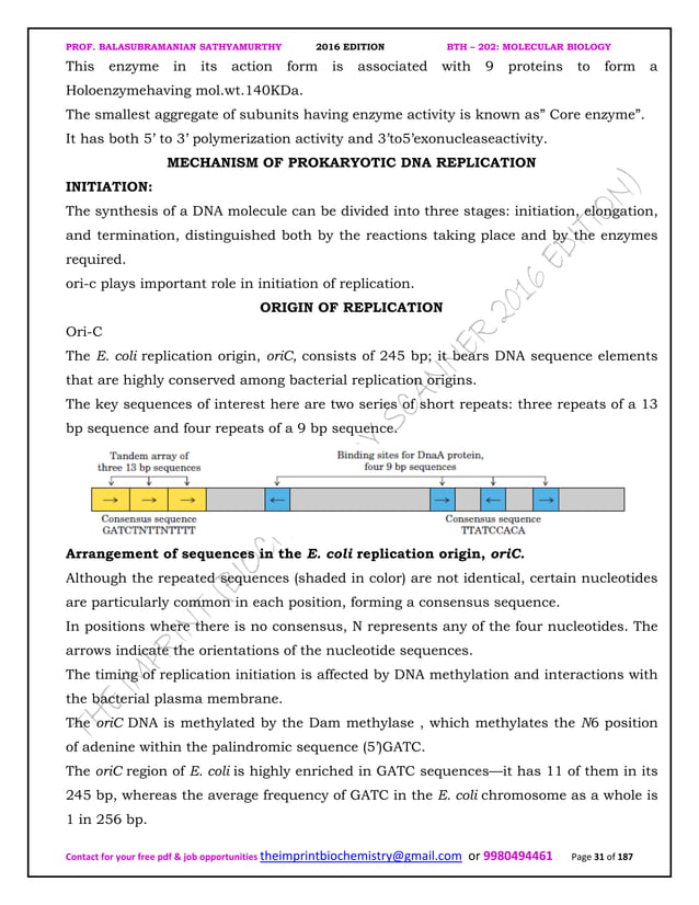 Bth 202 molecular biology | PDF
