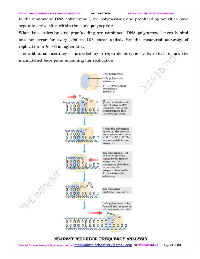 Bth 202 molecular biology | PDF