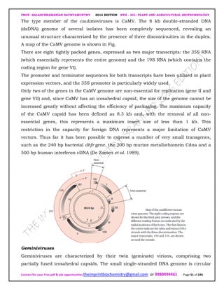 Bth 301 plant and agricultural biotechnology | PDF