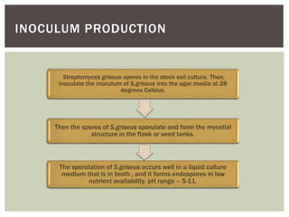 Production of Antibiotics | PPTX