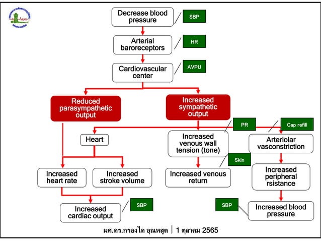 BTLS & Trauma Team Response.pptx